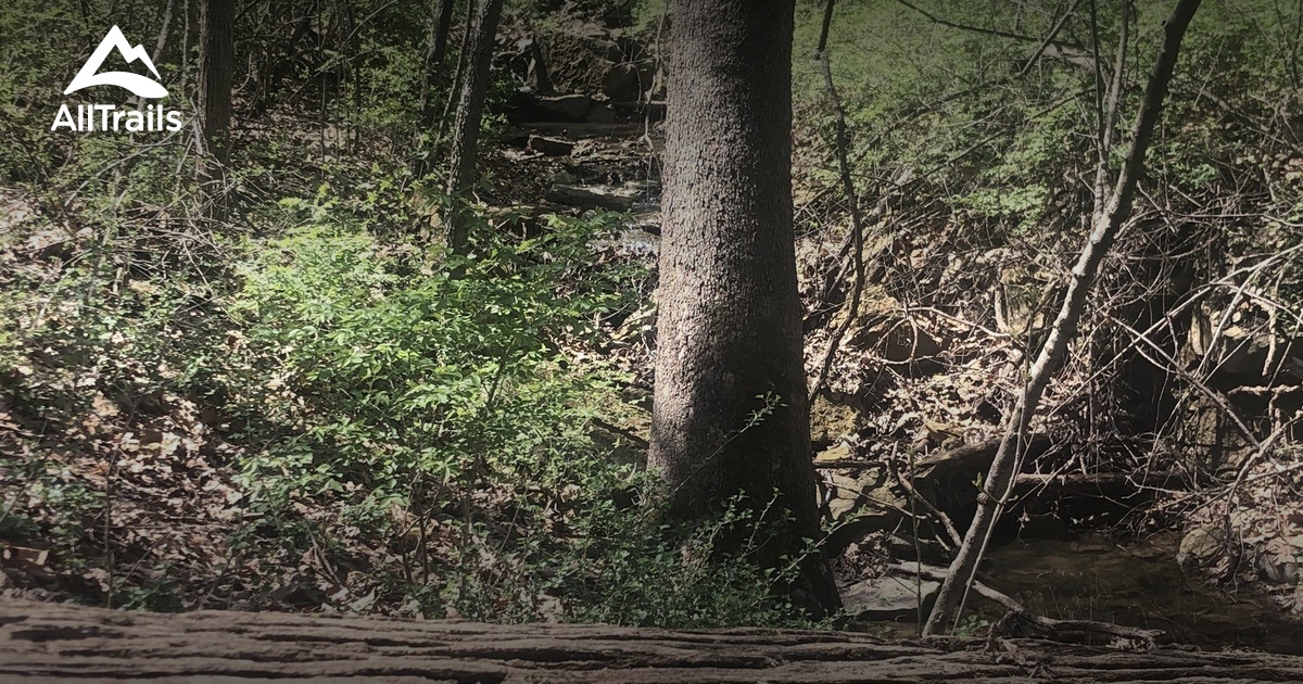 KC Dog-Friendly Trails | List | AllTrails