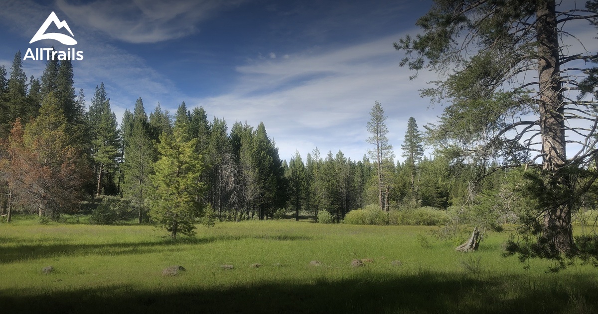 Donner Memorial State Park List Alltrails