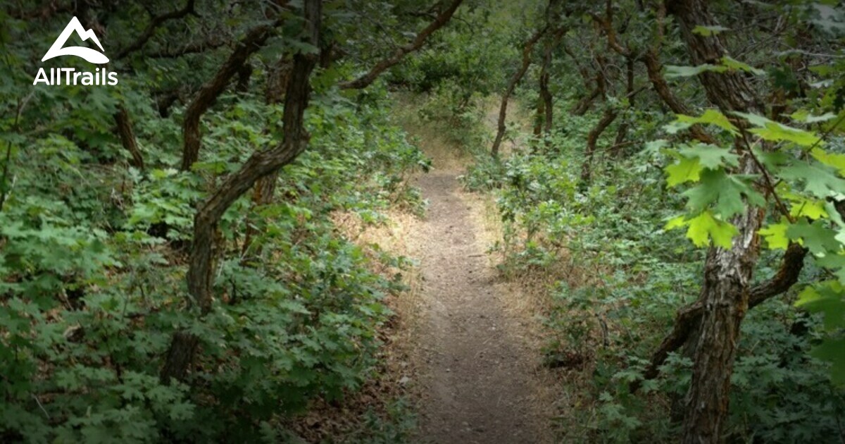 Shona | List | AllTrails