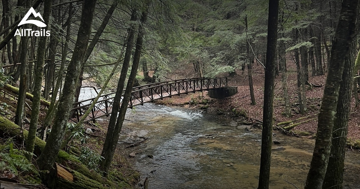 Cook Forrest Trip | List | AllTrails Cook Forrest Trip | List | AllTrails