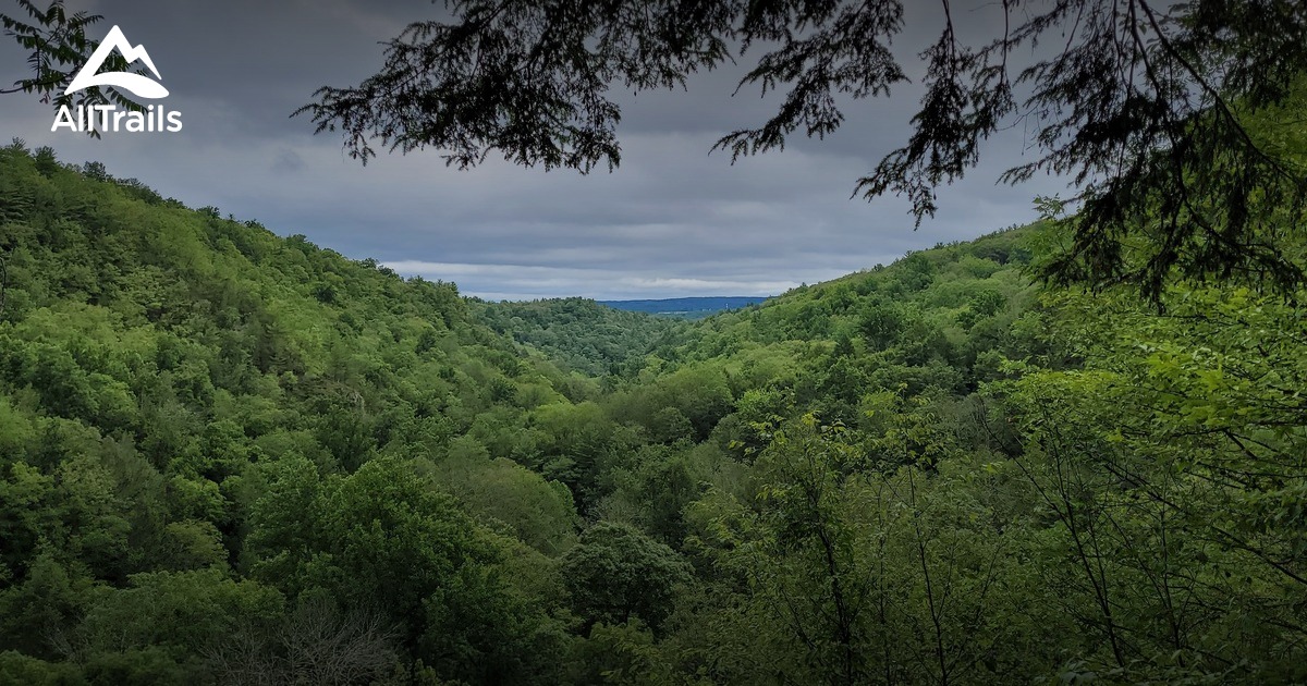 NY | List | AllTrails