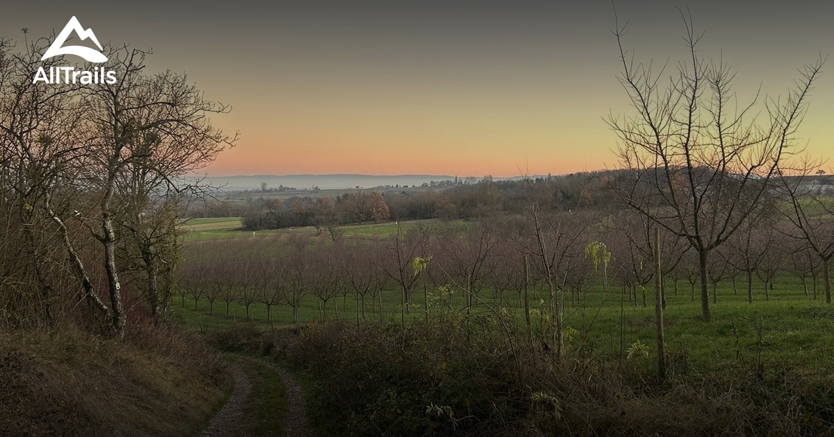 GR®5: Grande Traversée des Vosges | List | AllTrails