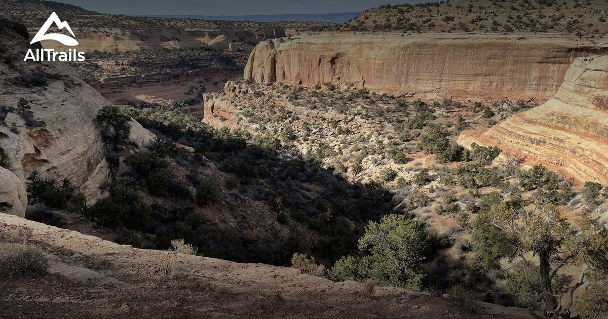 Mesa Valley | List | AllTrails