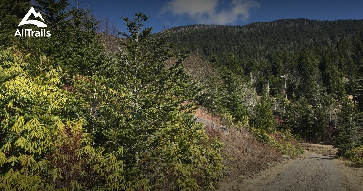 Mt Mitchell Commissary Trail | List | AllTrails