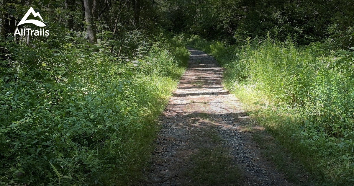 Hub 14 Mount Mitchell Hub | List | AllTrails