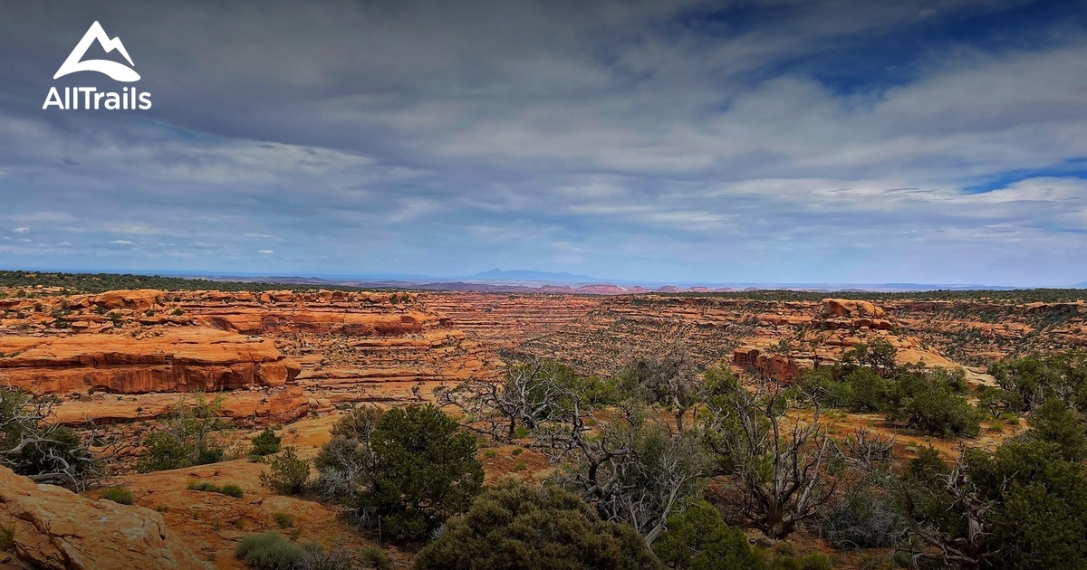 Cedar Mesa trails | List | AllTrails