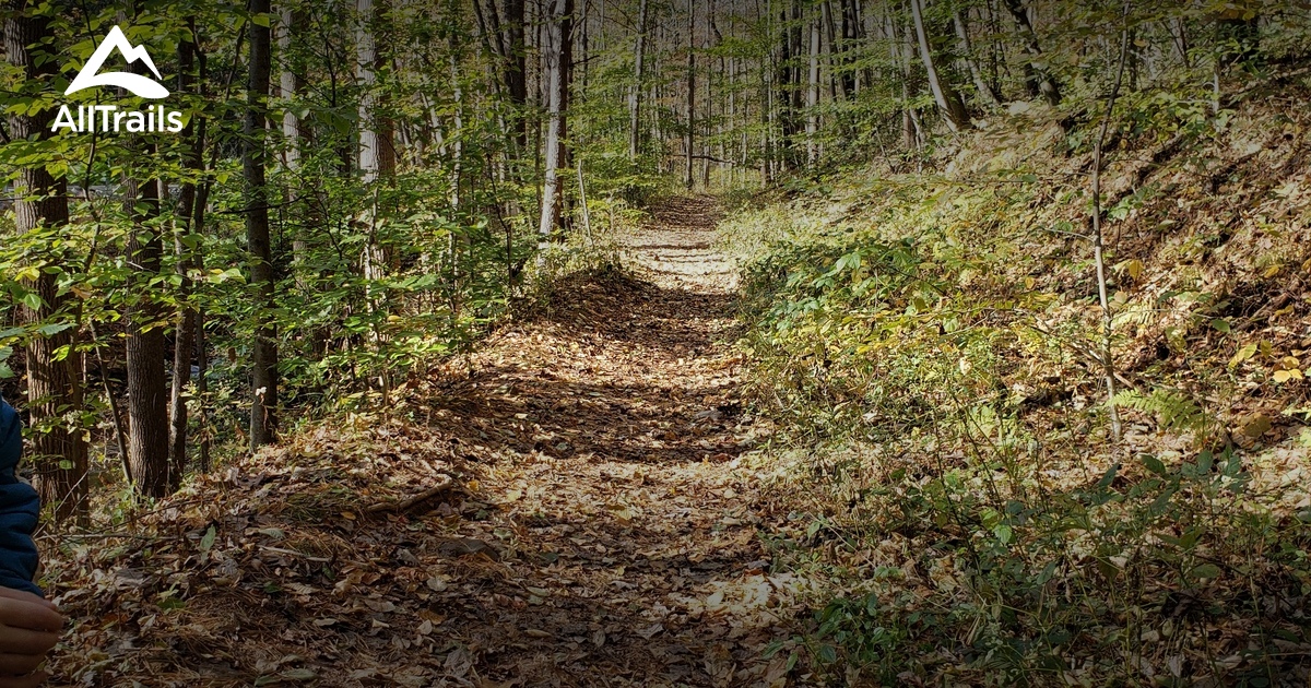 easy hikes 4/less | List | AllTrails