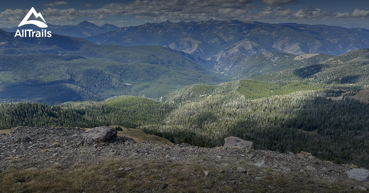 Lower Montana loops | List | AllTrails