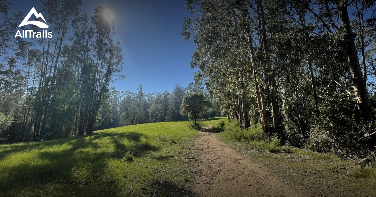 Alejandra | List | AllTrails