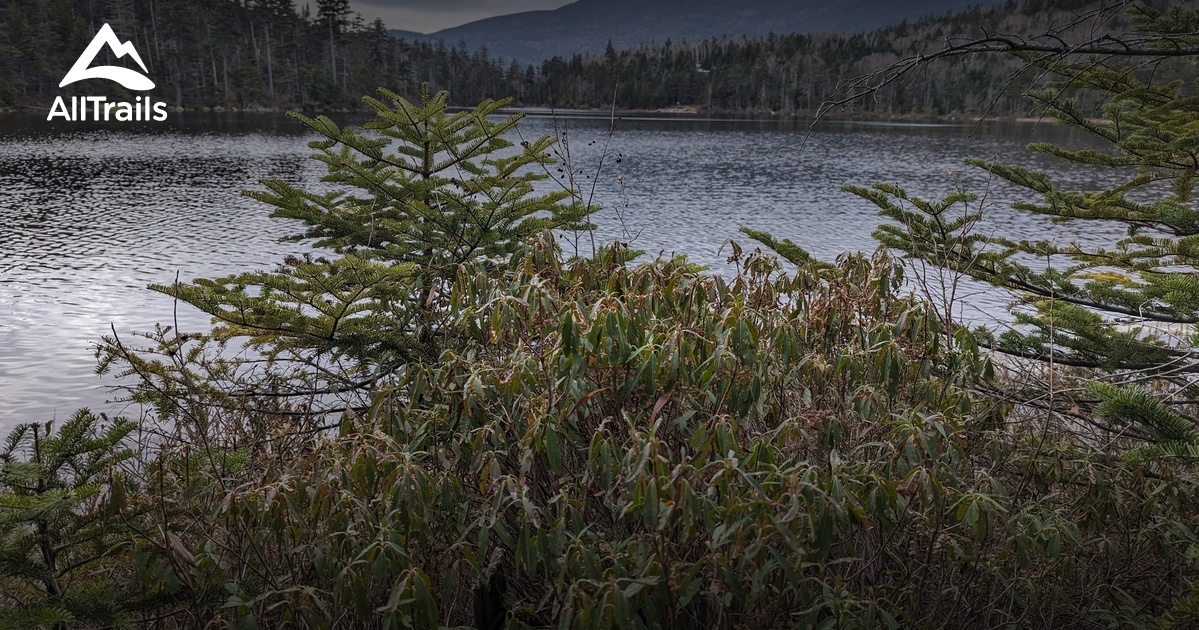 w julia winter | List | AllTrails