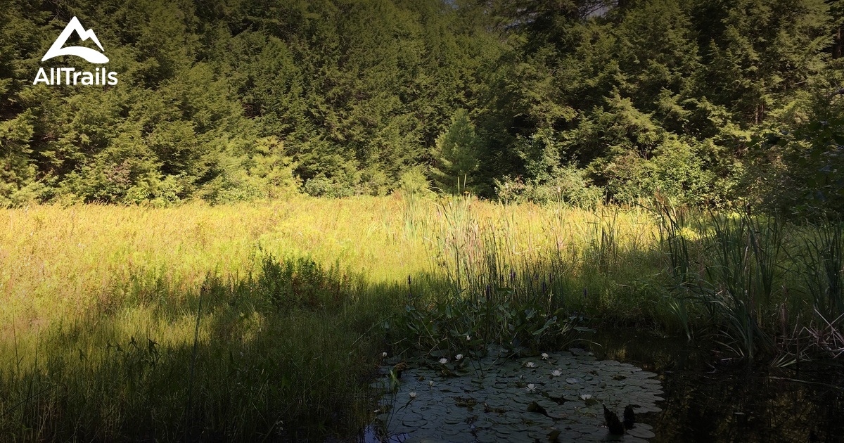 vt | List | AllTrails