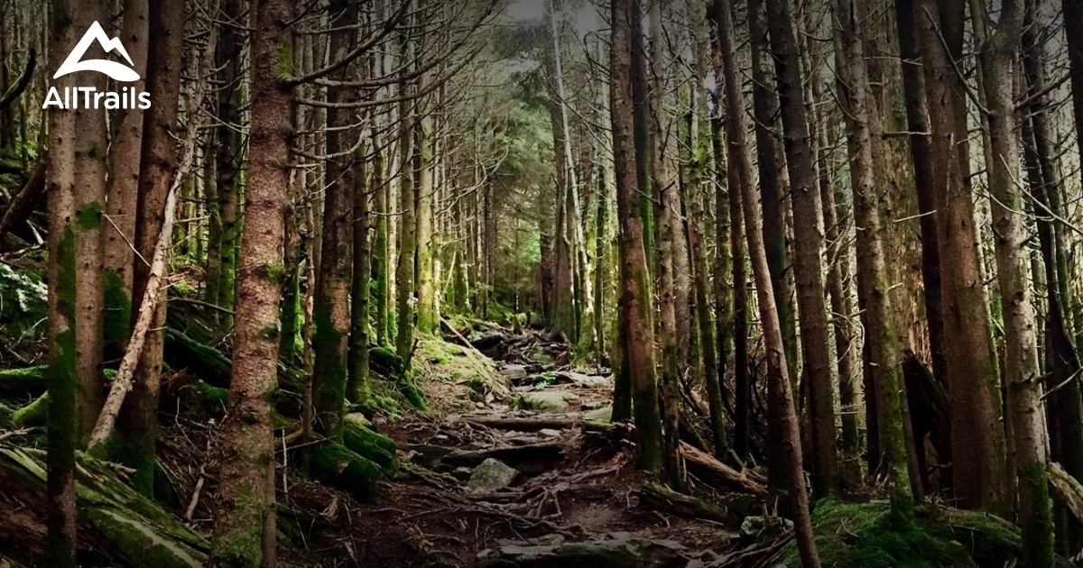 Mount Mitchell | List | AllTrails