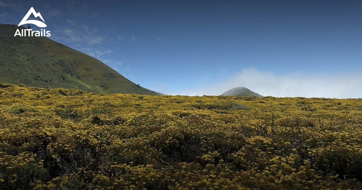 Big Sur w dog | List | AllTrails