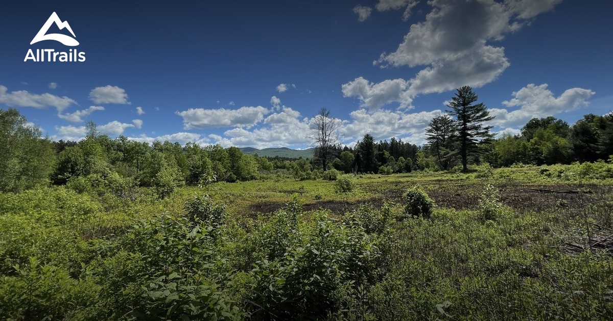 Middlebury, VT trails | List | AllTrails
