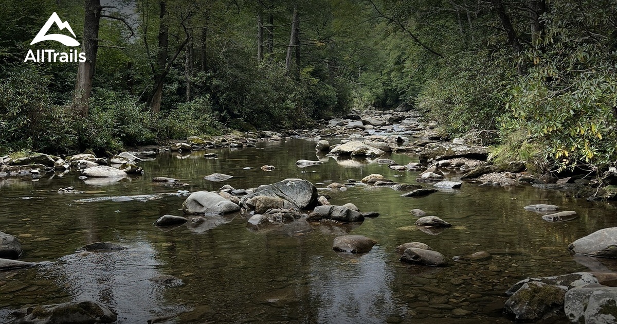 Black Mountain Campground Mt Mitchell area | List | AllTrails