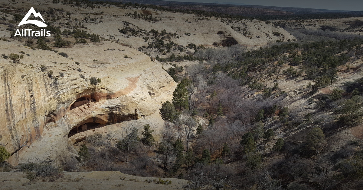 cedar mesa things | List | AllTrails