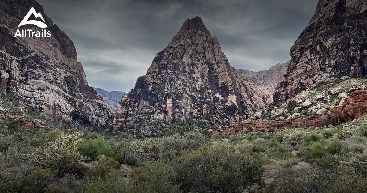 Scope these out! | List | AllTrails