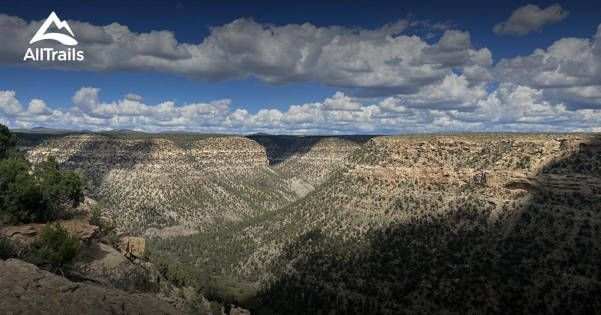 Mesa Verse National Park | List | AllTrails