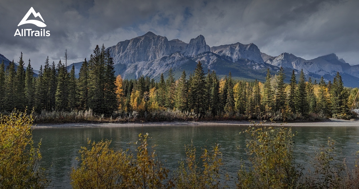 Winter Ellie walk | List | AllTrails