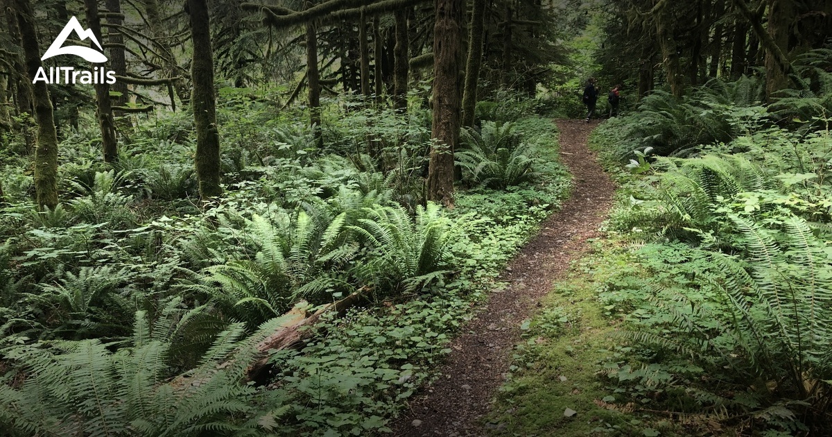 Completed | List | AllTrails