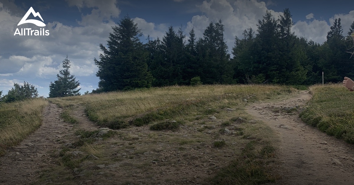 gr5 Vogezen | List | AllTrails