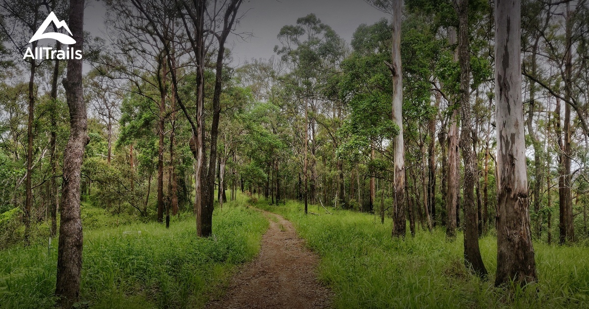 Samford conservation | List | AllTrails