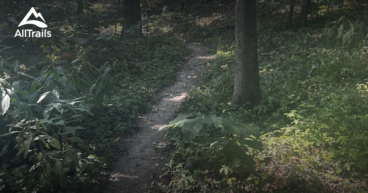 KC with dogs/kids | List | AllTrails