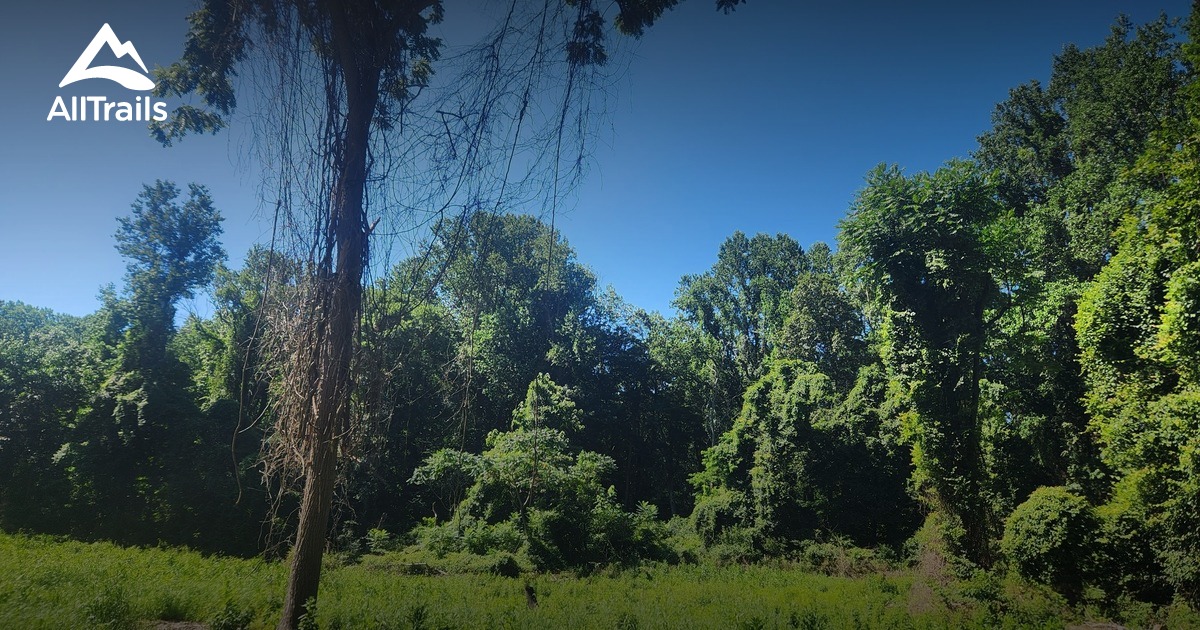 Training with Asher | List | AllTrails