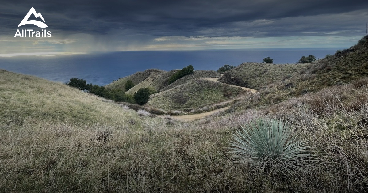 Big Sur with dog | List | AllTrails