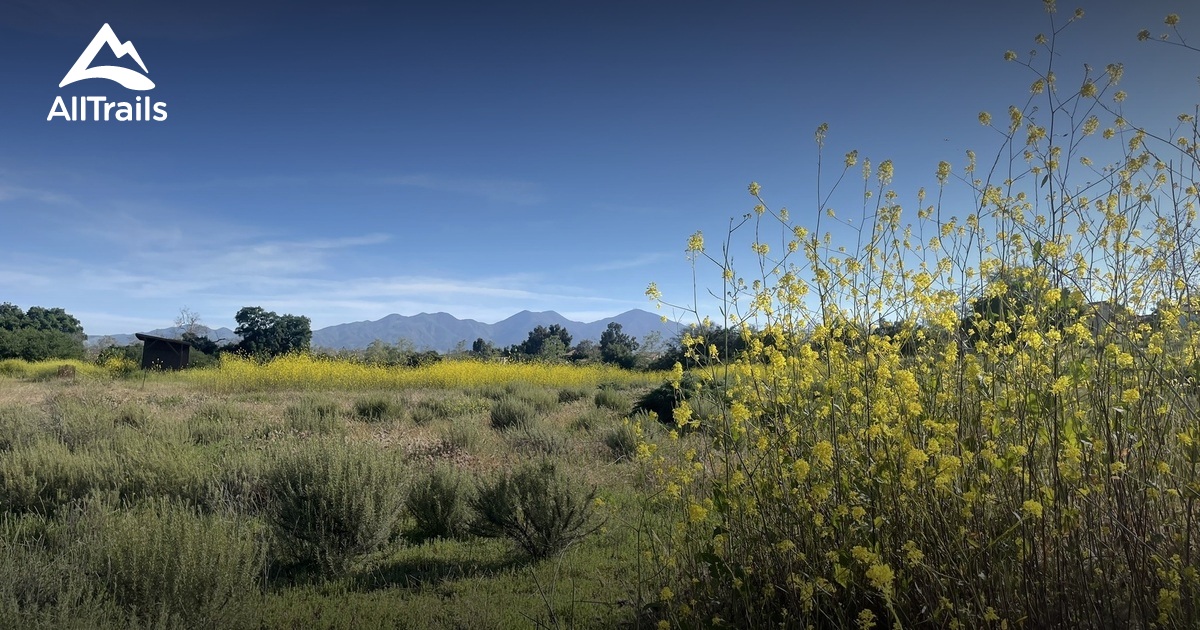 Orange County Bucket List | List | AllTrails