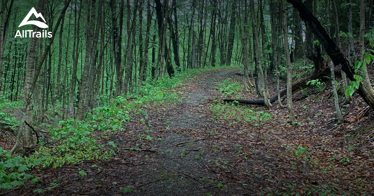 VT ideas | List | AllTrails