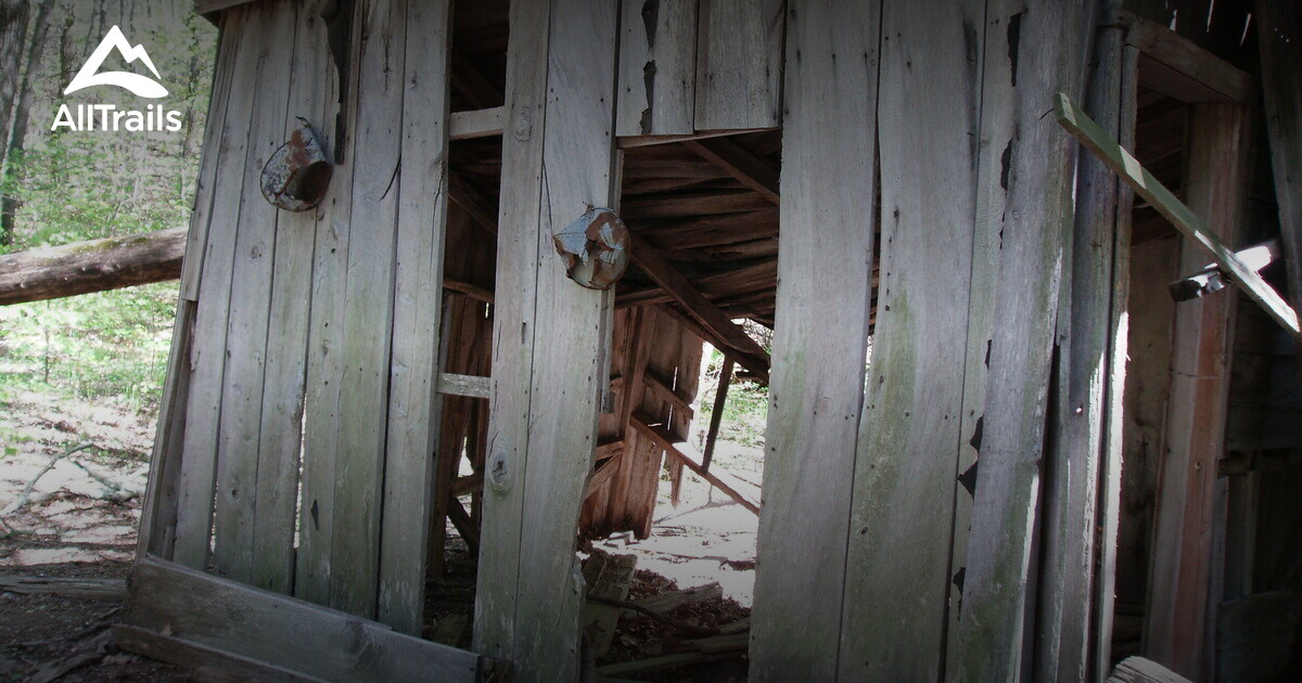 Denali AK hikes | List | AllTrails