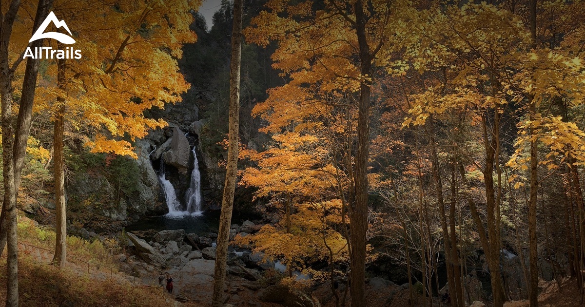 Prospect lake park | List | AllTrails