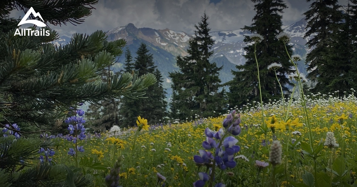 July 4th 21 | List | AllTrails