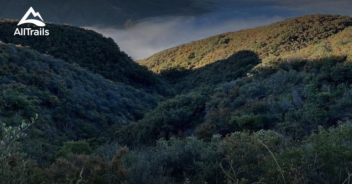 Elevation warriors | List | AllTrails