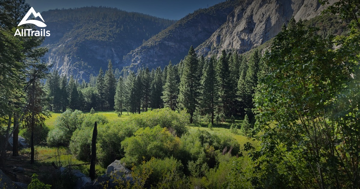 Kings Canyon / Cedar Easy List | List | AllTrails