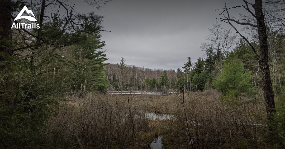 Tallest mountains in MA | List | AllTrails