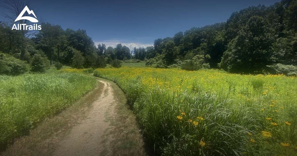 NY | List | AllTrails