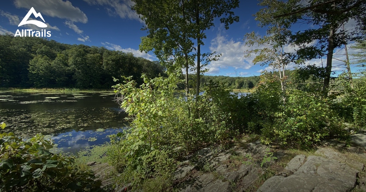 NY to do | List | AllTrails