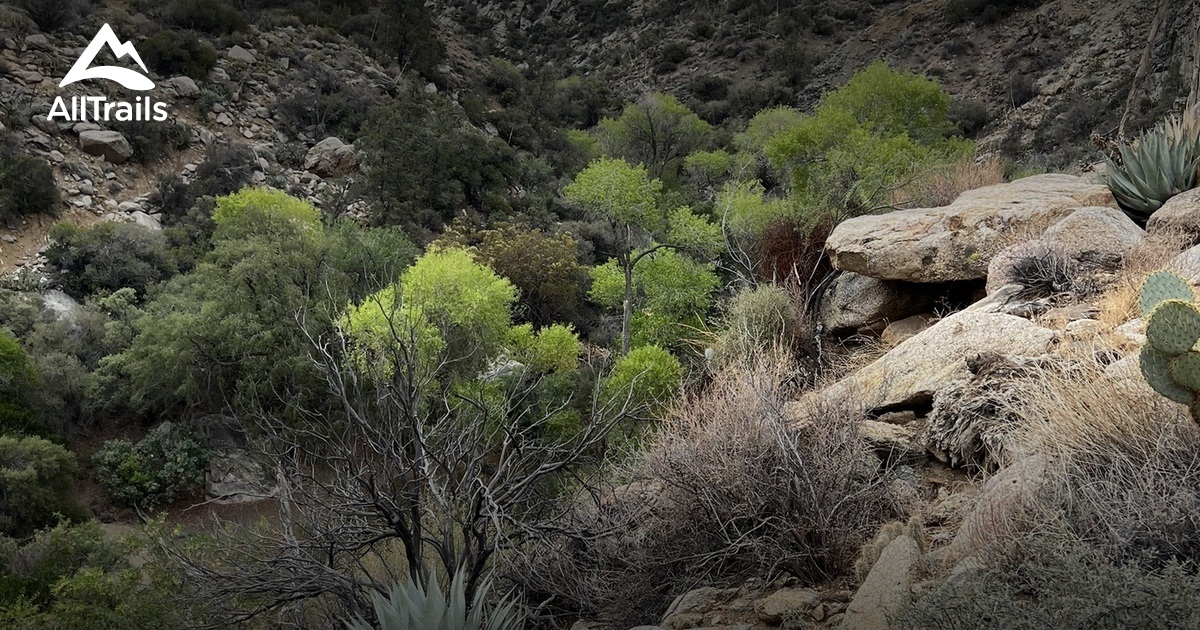 local to do | List | AllTrails