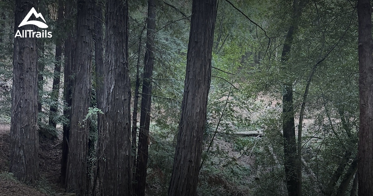 Explore These | List | AllTrails