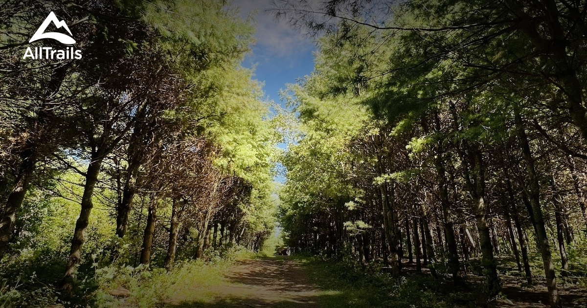 Hiver | List | AllTrails