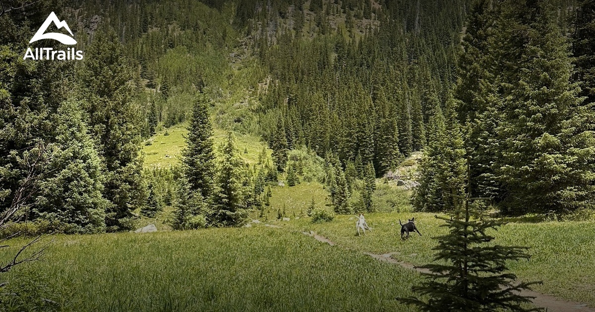 Winter Park Hikes | List | AllTrails