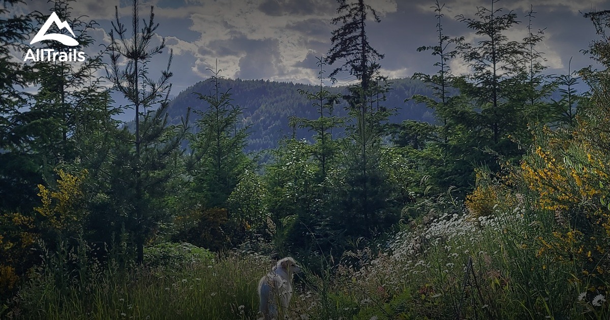 Best hikes and trails in Crofton | AllTrails Best hikes and trails in Crofton | AllTrails