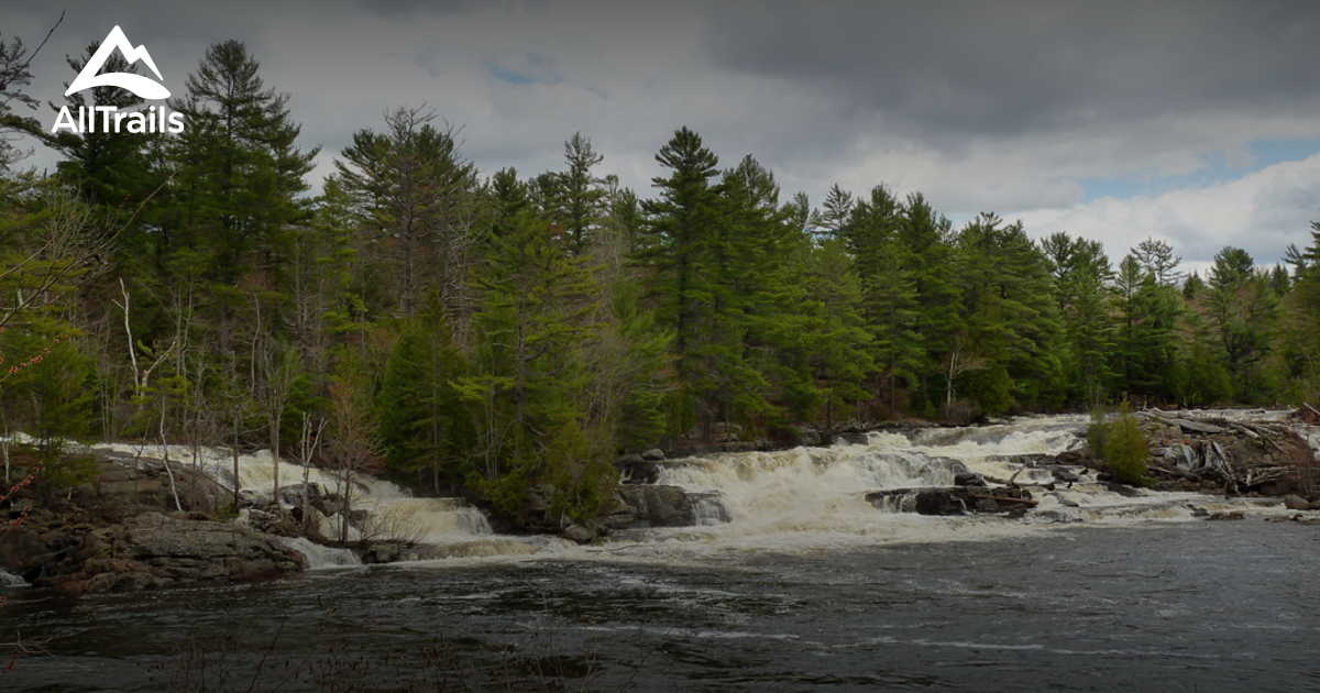 10 Best Trails And Hikes In Bracebridge Alltrails