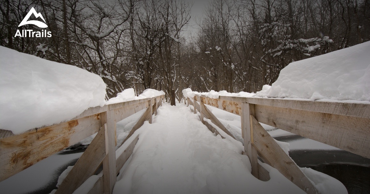 10 Best trails and hikes in Cavan–Monaghan | AllTrails