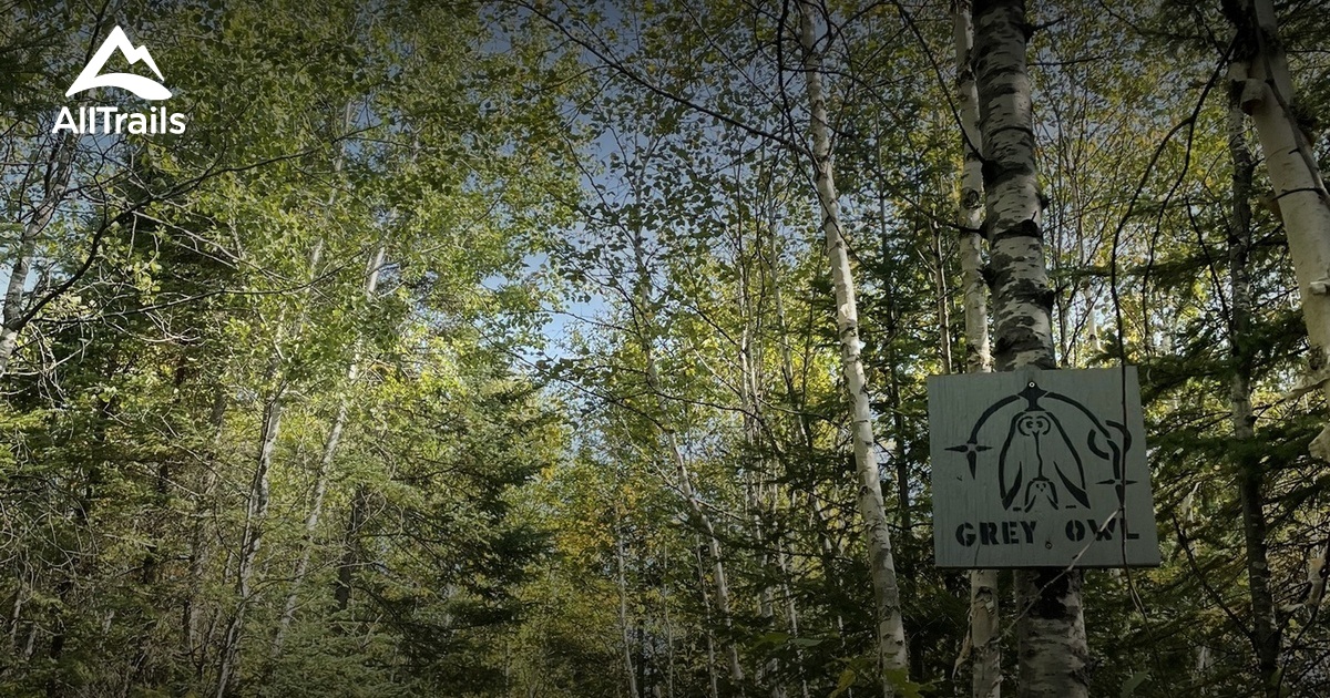Best hikes and trails in Minaki | AllTrails