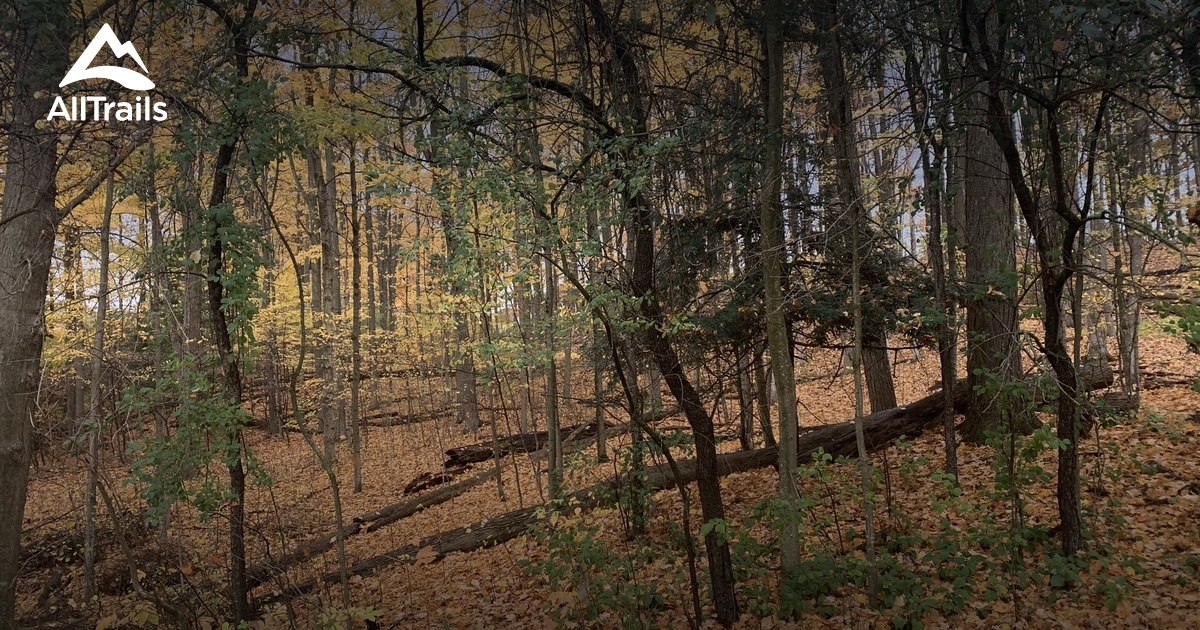 Best hikes and trails in Roseville | AllTrails