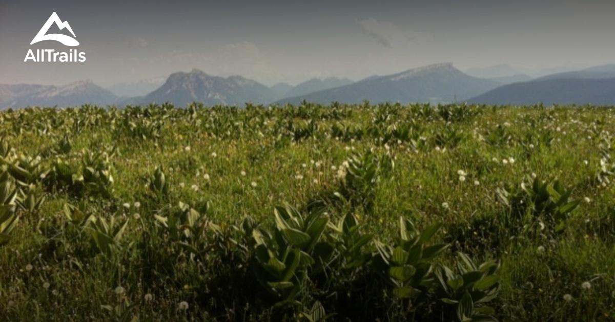 Best wildflower trails in Viuz-La-Chiesaz | AllTrails