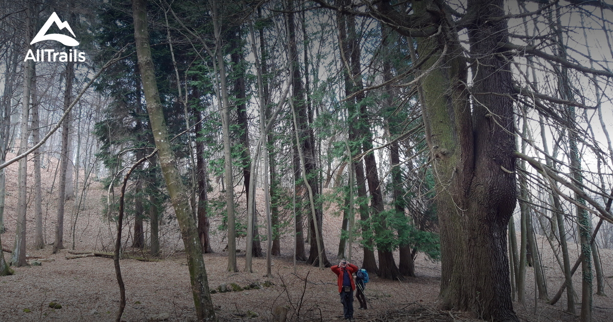 Best Hikes and Trails in Velo d'Astico | AllTrails